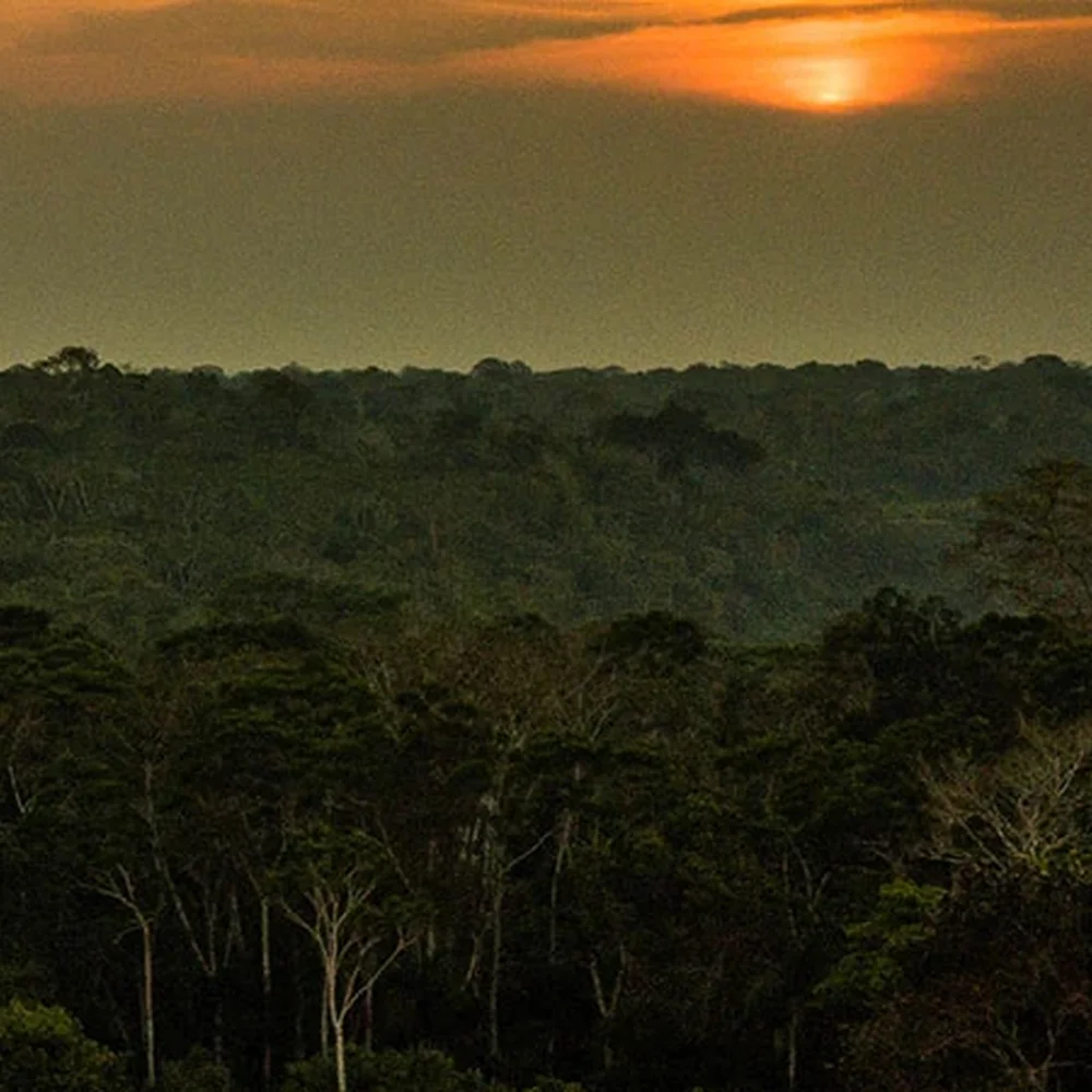 The Top 15 National Parks & Nature Reserves in Peru