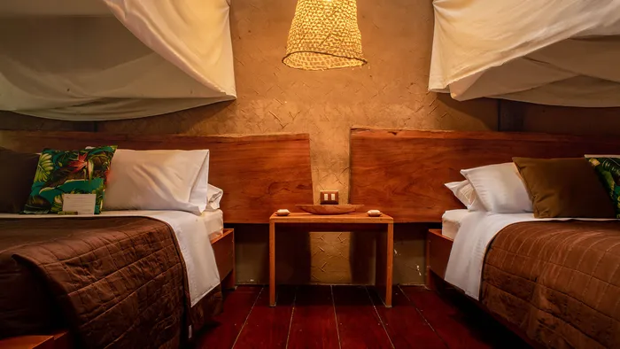 100 Things to do in the Amazon Rainforest