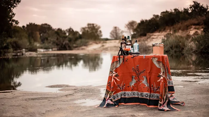 The Top 10 South Africa Safari Lodges
