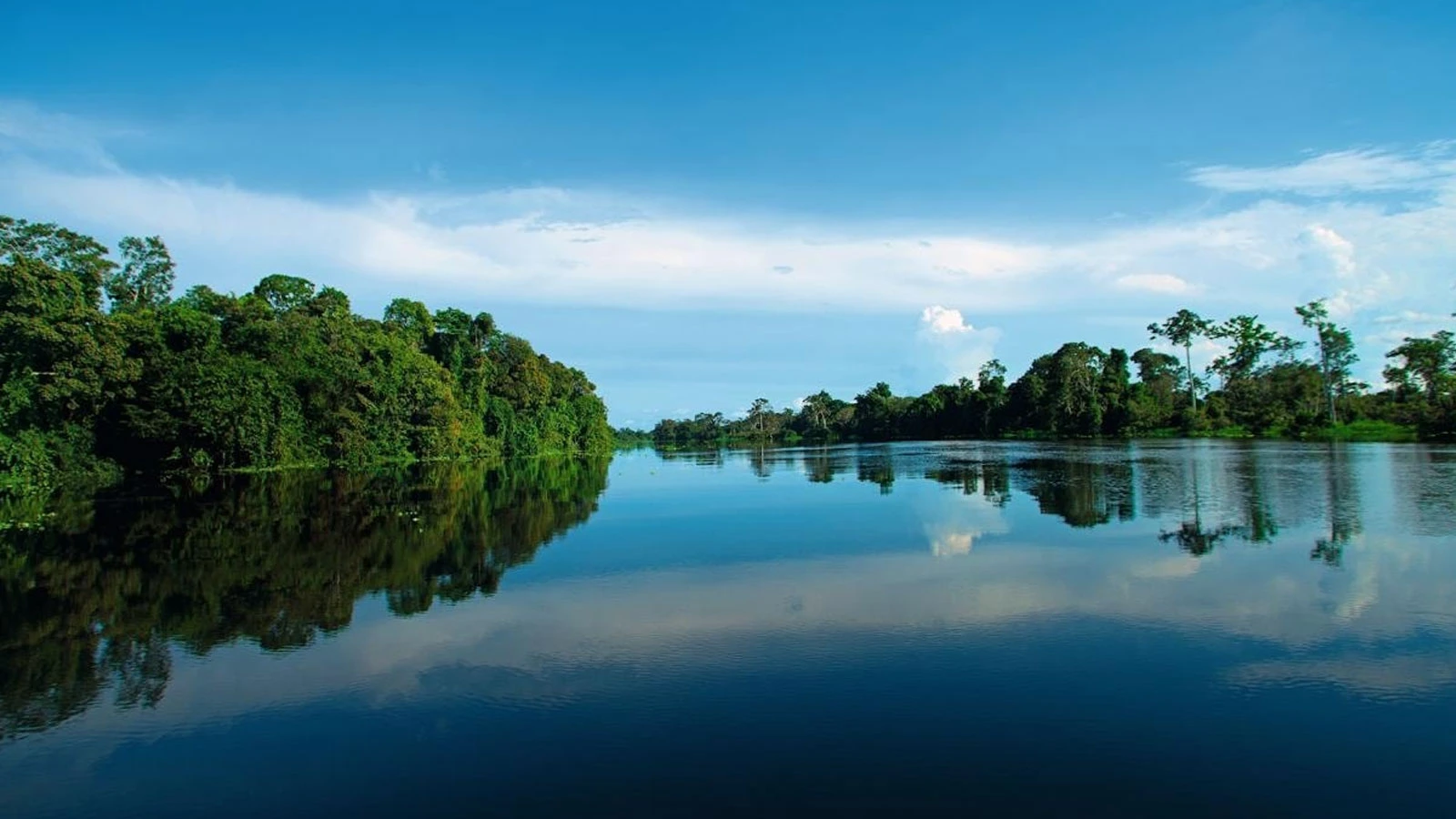 The Amazon Rainforest Travel Guide