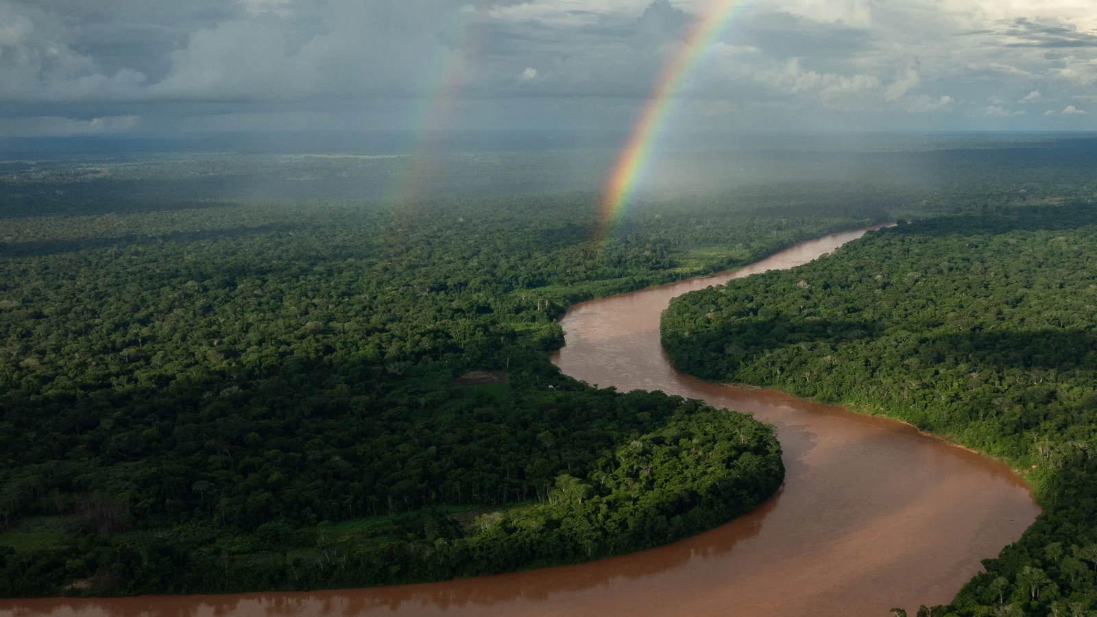The Amazon Rainforest Travel Guide
