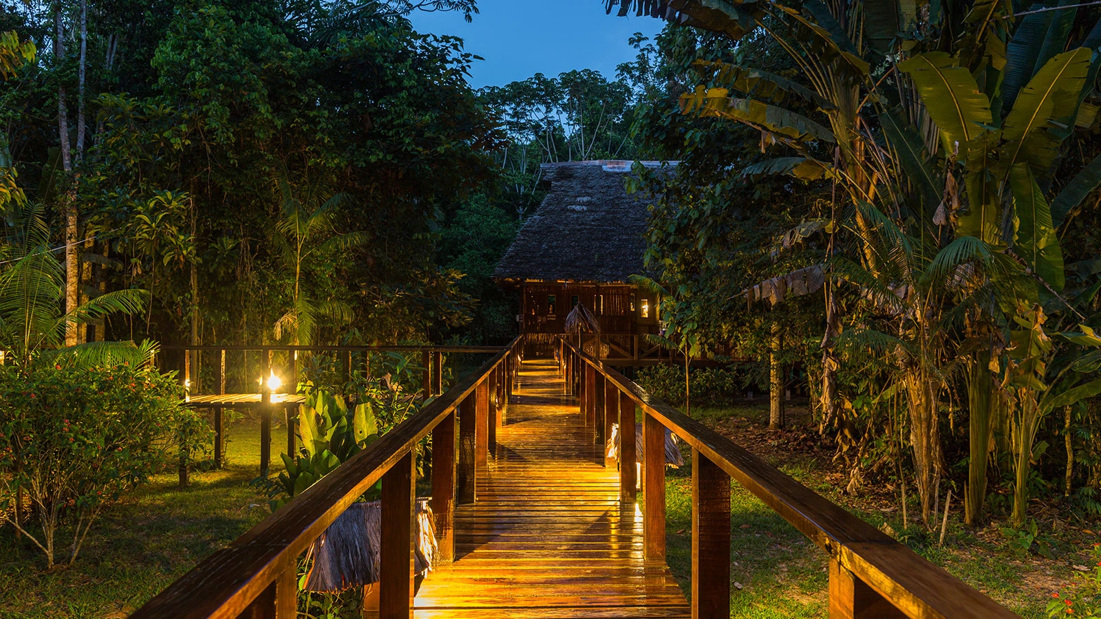 The Amazon Rainforest Travel Guide